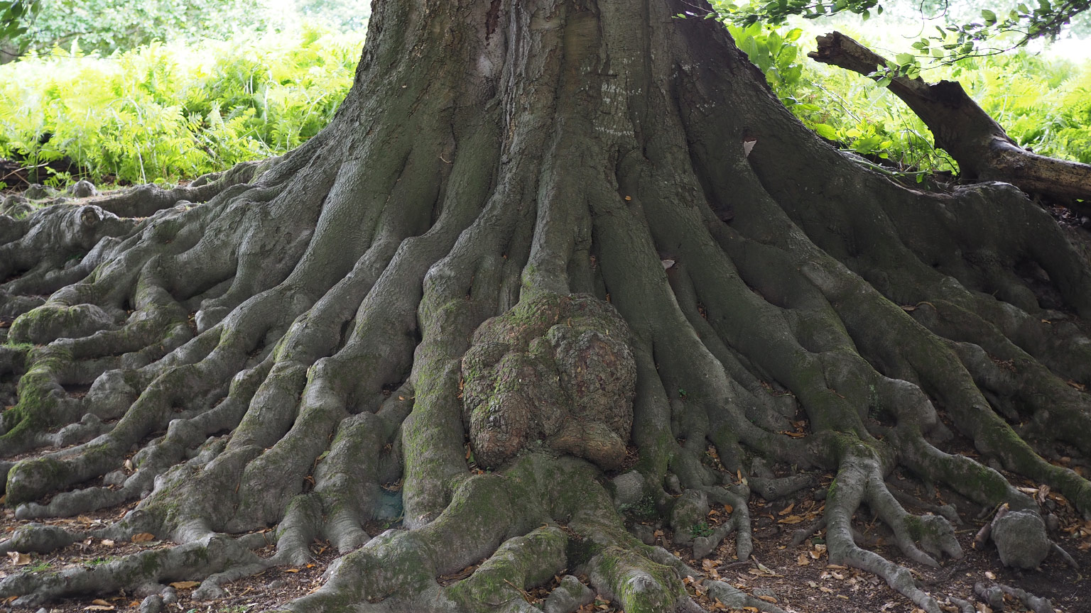 Why trunk-based development isn't for everybody